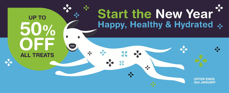 WOOF&BREW The Pet Drinks Company