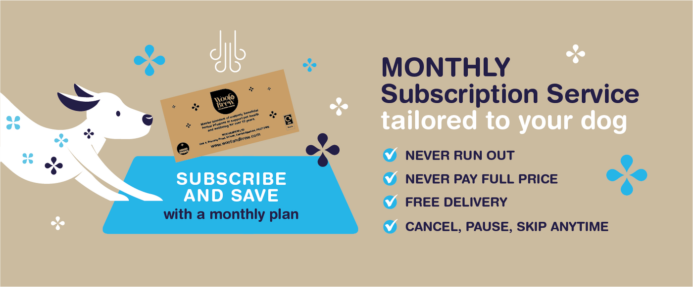 WOOF&BREW The Pet Drinks Company